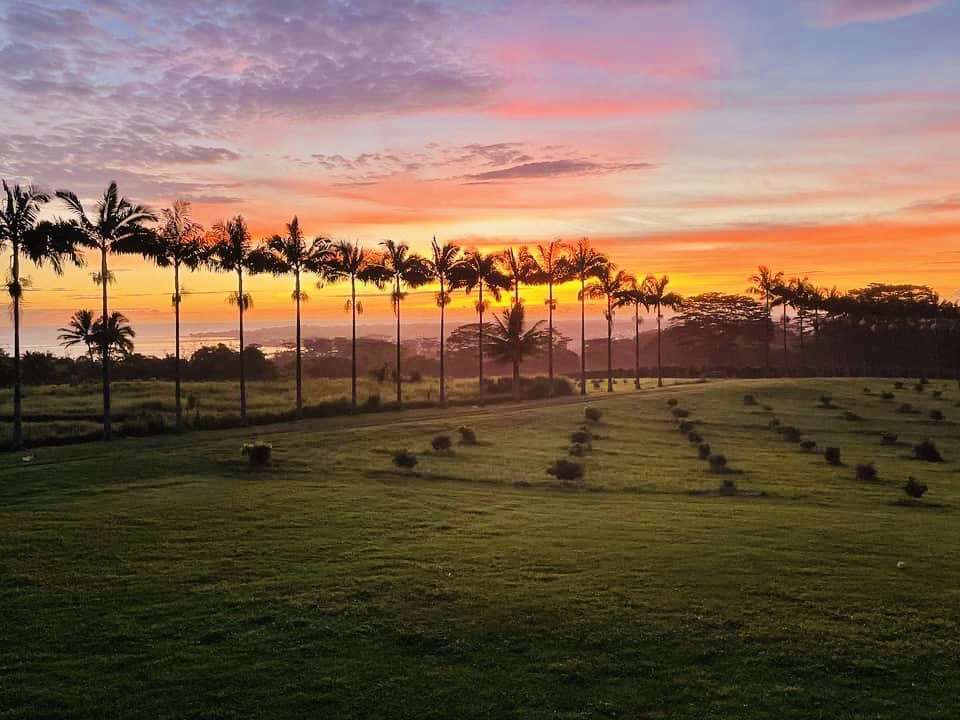OK Farms - Big Island Reviews