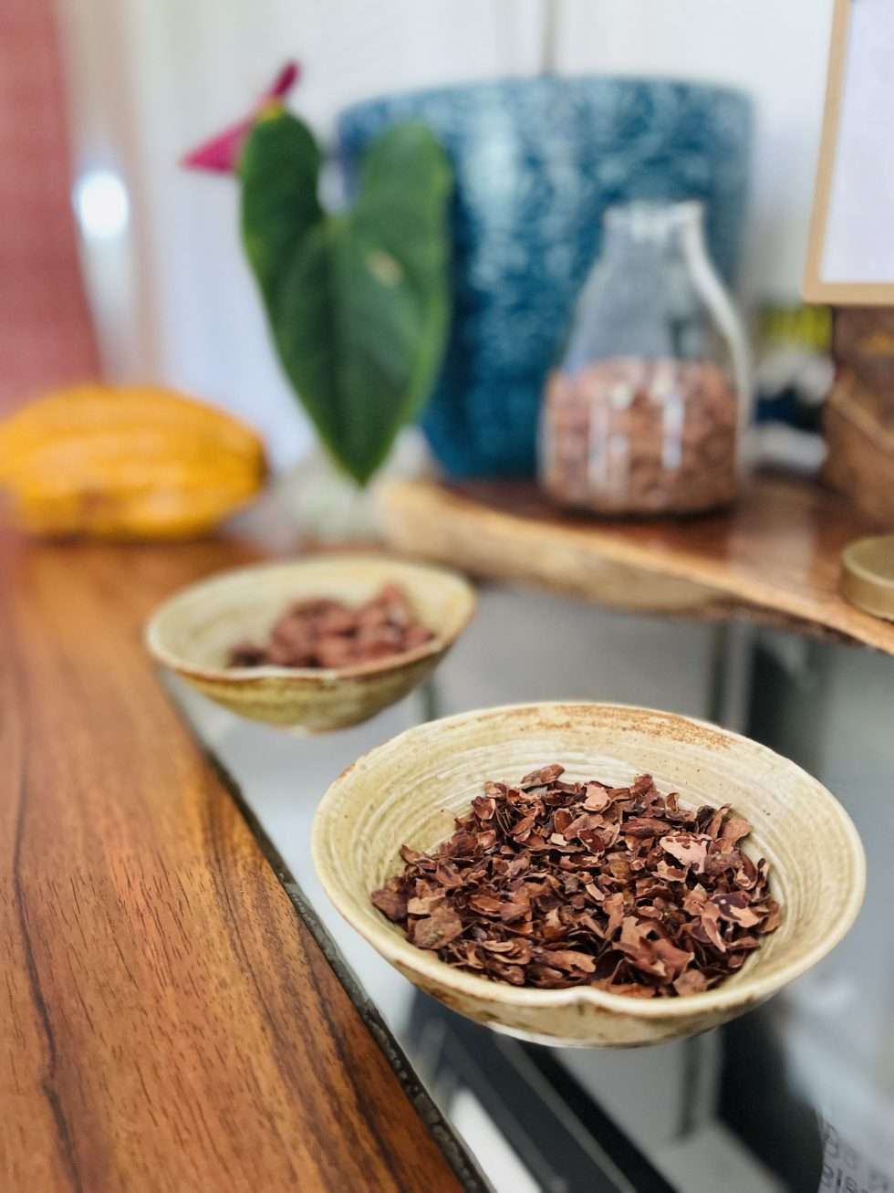Lavaloha: A Chocolate Lover's Paradise in Hilo, Hawaii