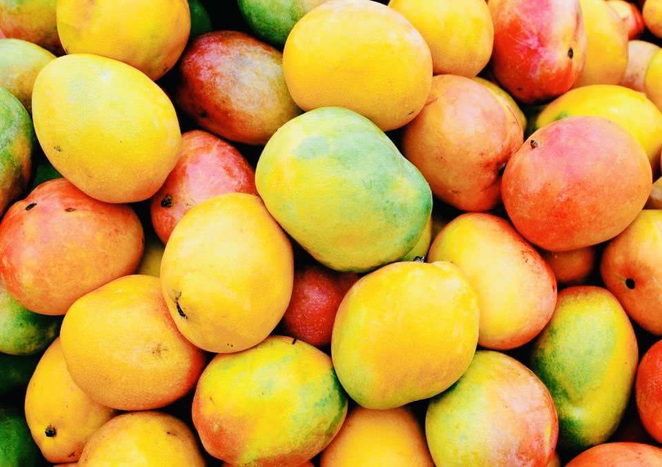 Maku'u Farmers Market - Big Island Reviews